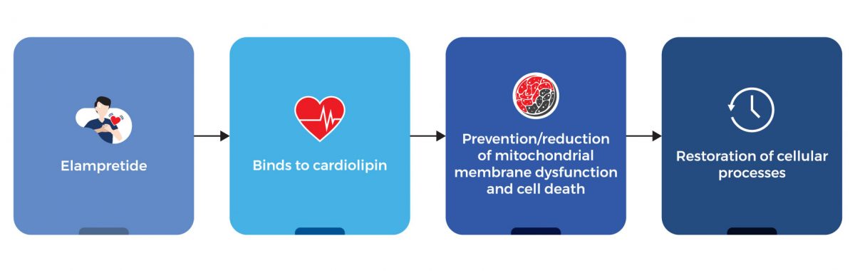 Elampretide - Benefits and Side Effects | Mitochondrial disease