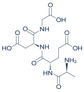 Epithalon - Benefits, Dosage and Side Effects